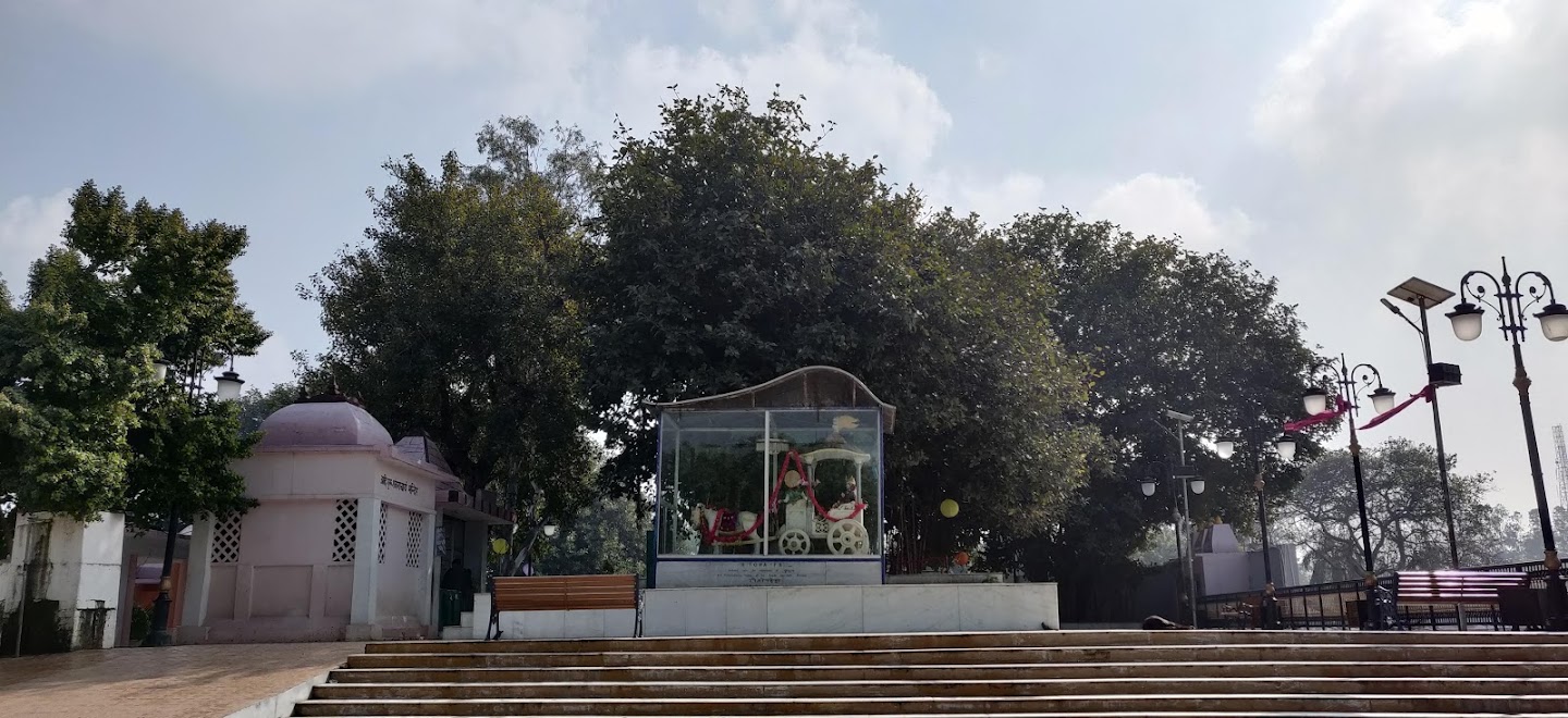 Blessed banyan of Jyotisar, Haryana – Orientalzenz