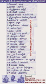 Ancient Plants & Herbs of India – Orientalzenz