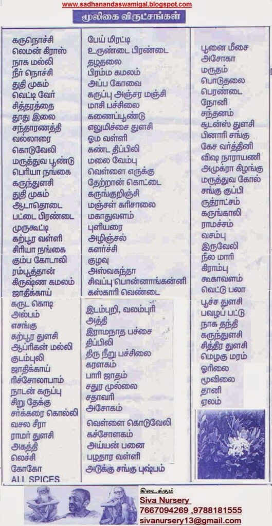 Ancient Plants & Herbs of India – Orientalzenz