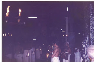 Guruvayur Krishna Temple – Seeveli (Elephant Procession) – Orientalzenz