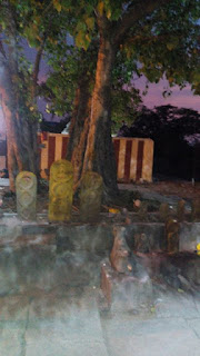 Agasteeswar Temple, Nemilicherry, Chrompet, Chennai – Orientalzenz