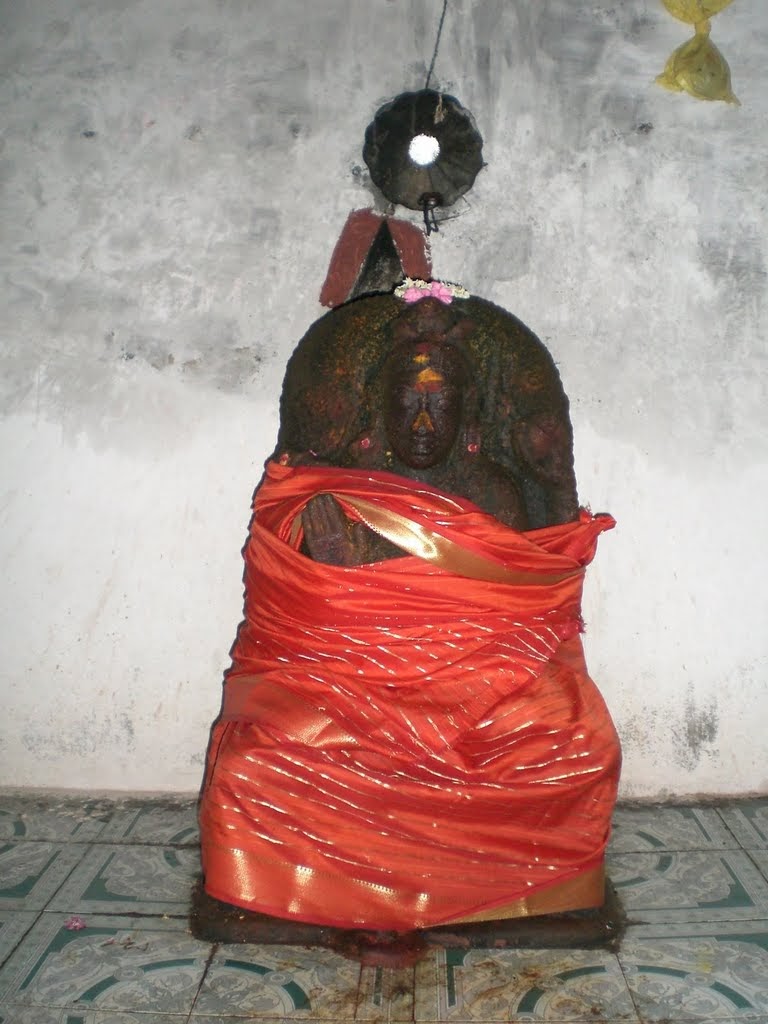 Vana Durga photo and Dhyana Mantra Meaning – Orientalzenz